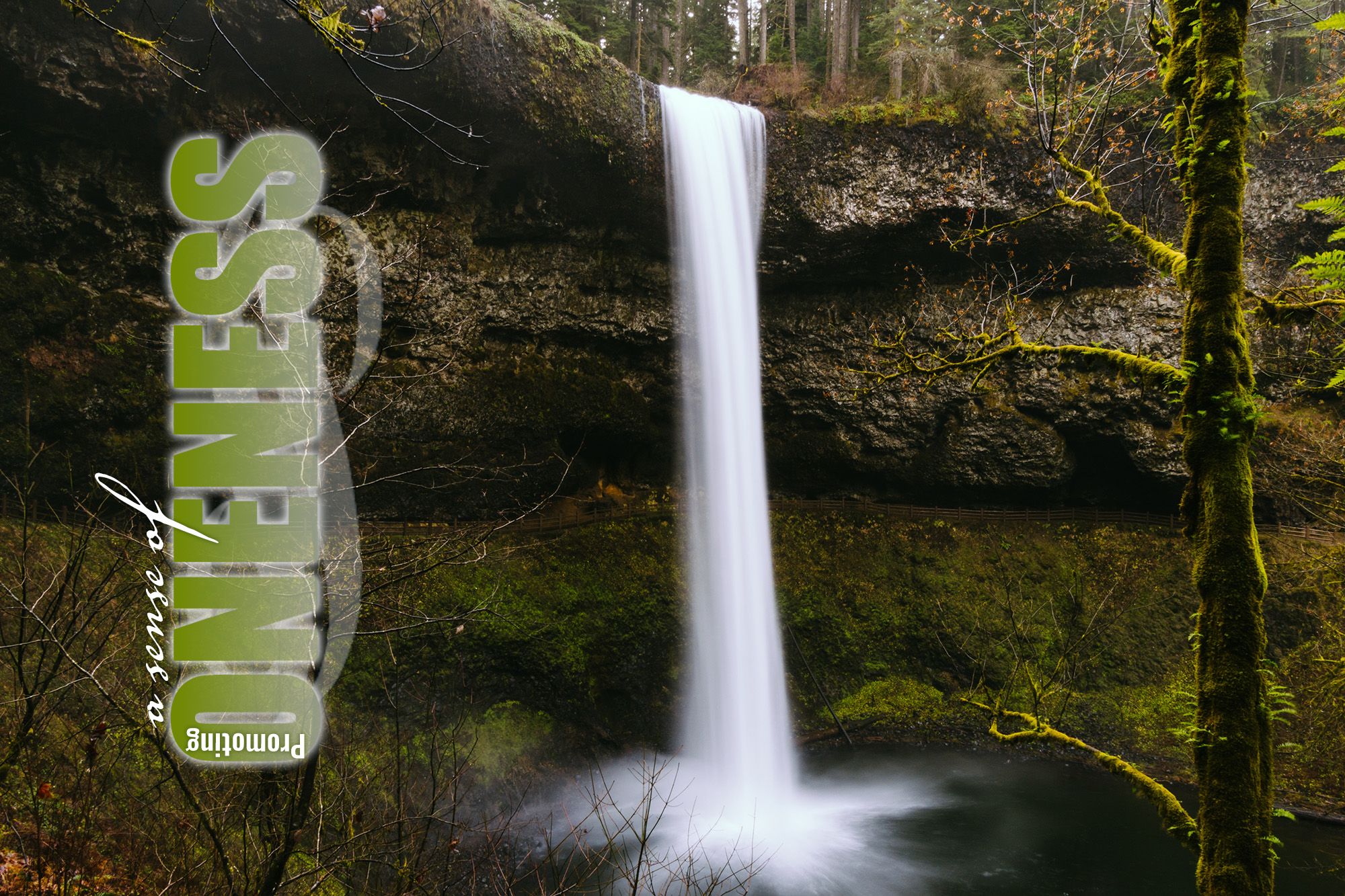 Promoting a Sense of Oneness: Simple Rule #3: Seek Sustainable Outcomes ...